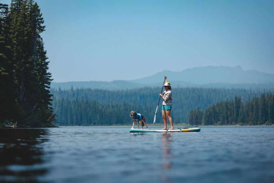 SUP Pup 101: How to Paddleboard with Your Dog | Ruffwear UK