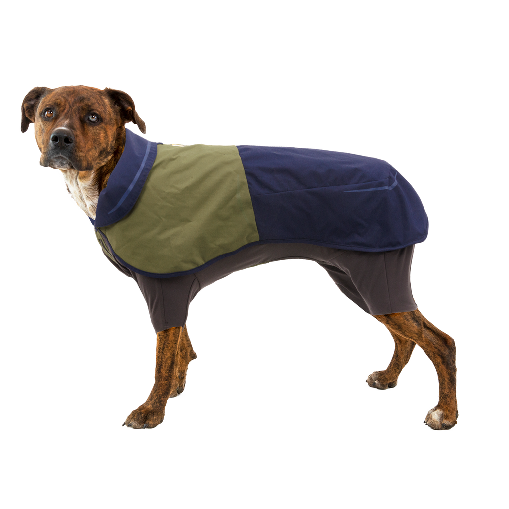 Sun Shower™ Coverall Dog Rain Suit | Ruffwear UK