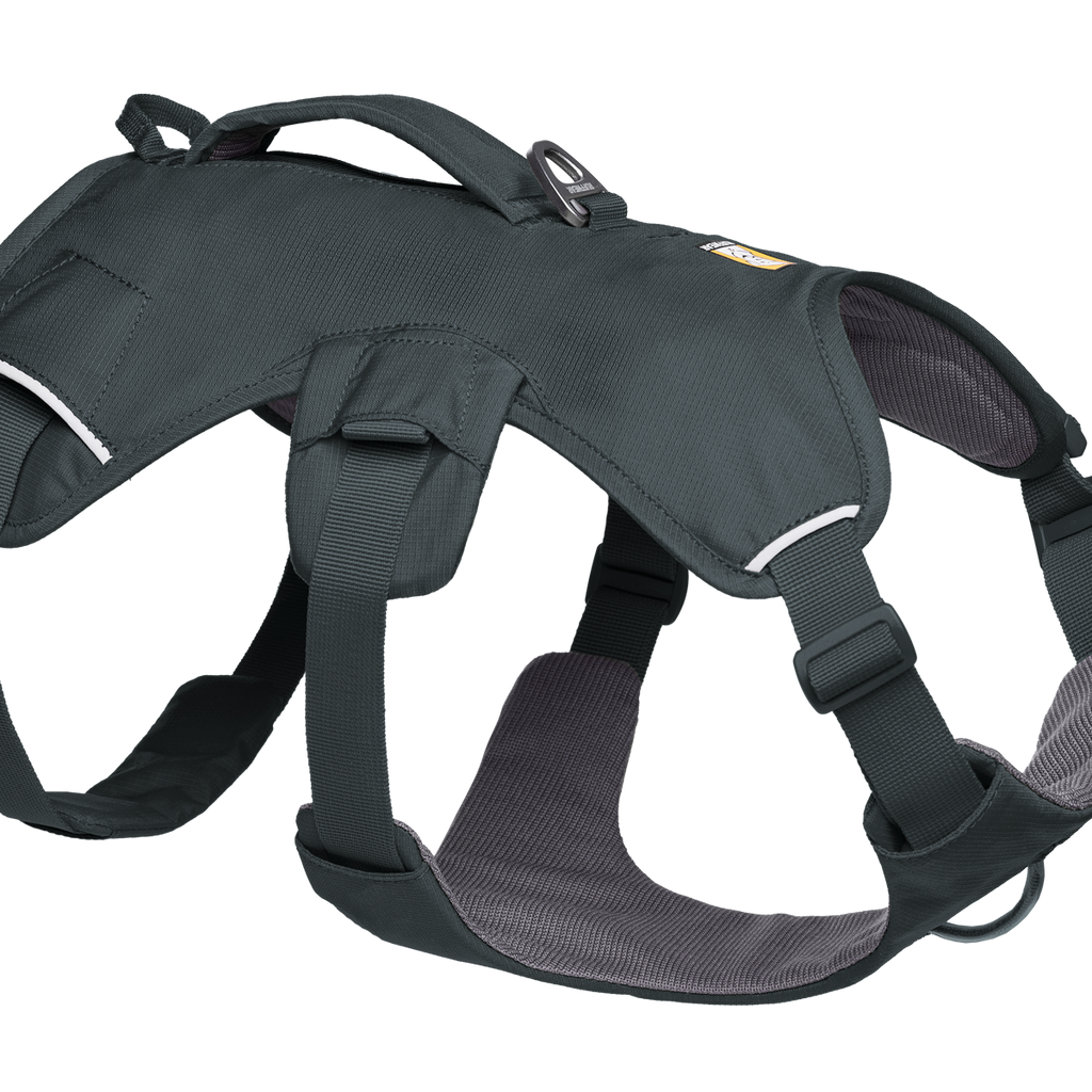 Web Master™ Dog Harness with Handle | Ruffwear UK