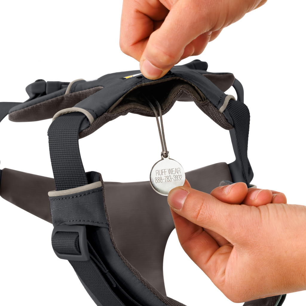 Front Range® Dog Harness | Ruffwear UK