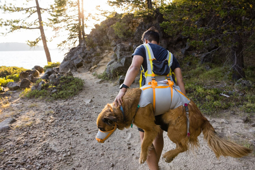 About The Backtrak Dog Evacuation Kit | Ruffwear UK