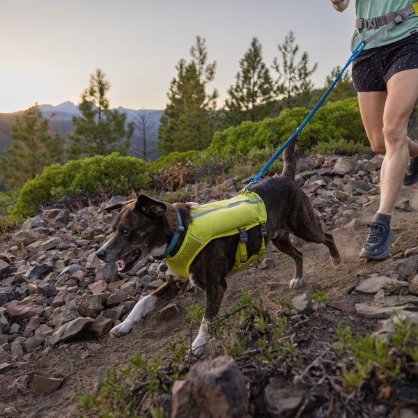 How To Run With Your Dog | Ruffwear