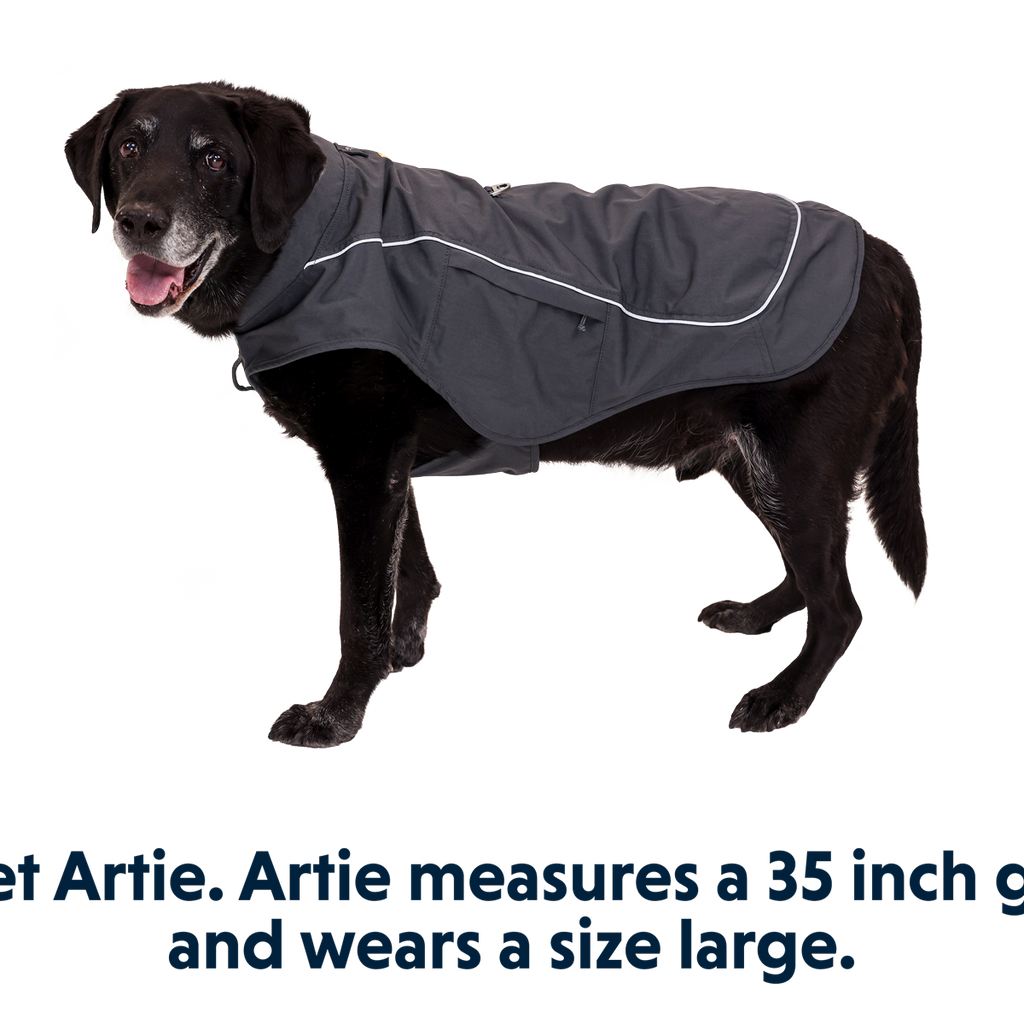 Overcoat Fuse™ Dog Vest | Ruffwear UK