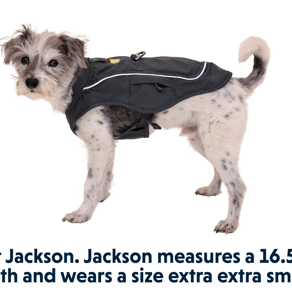 Overcoat Fuse™ Dog Vest | Ruffwear UK