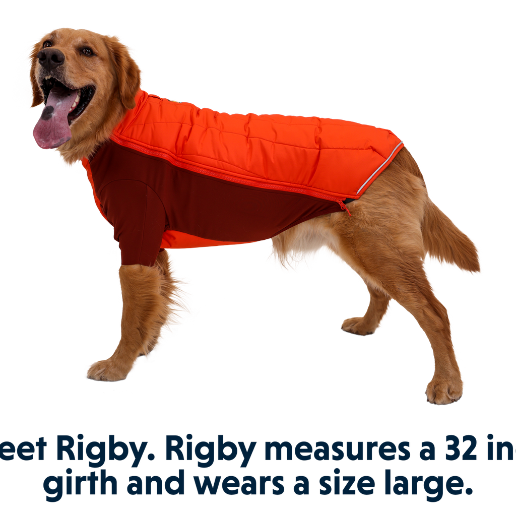 Powder Hound™ Dog Jacket | Ruffwear UK