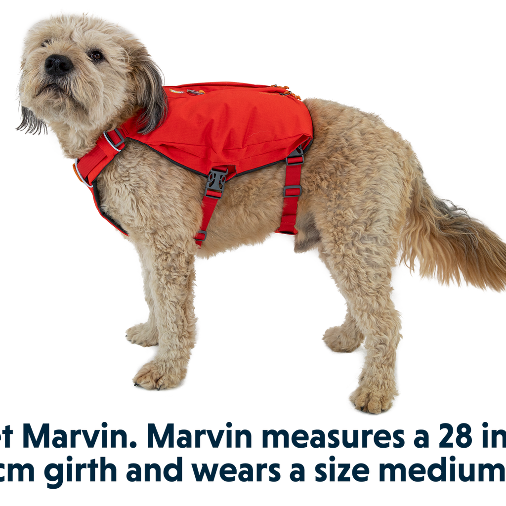 Switchbak™ Multi-Function Dog Harness | Ruffwear UK