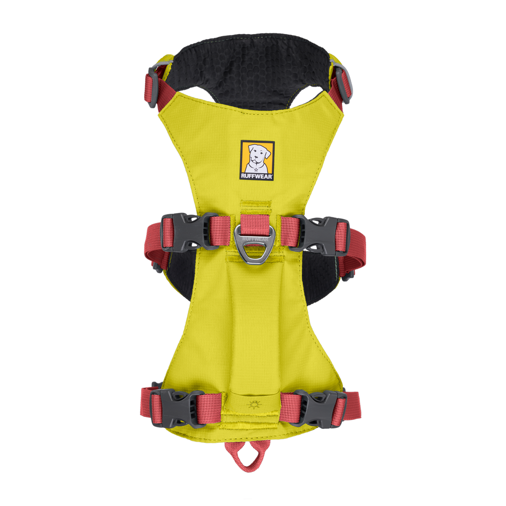 Flagline™ Dog Harness with Handle | Strong Lightweight Lift & Assist ...