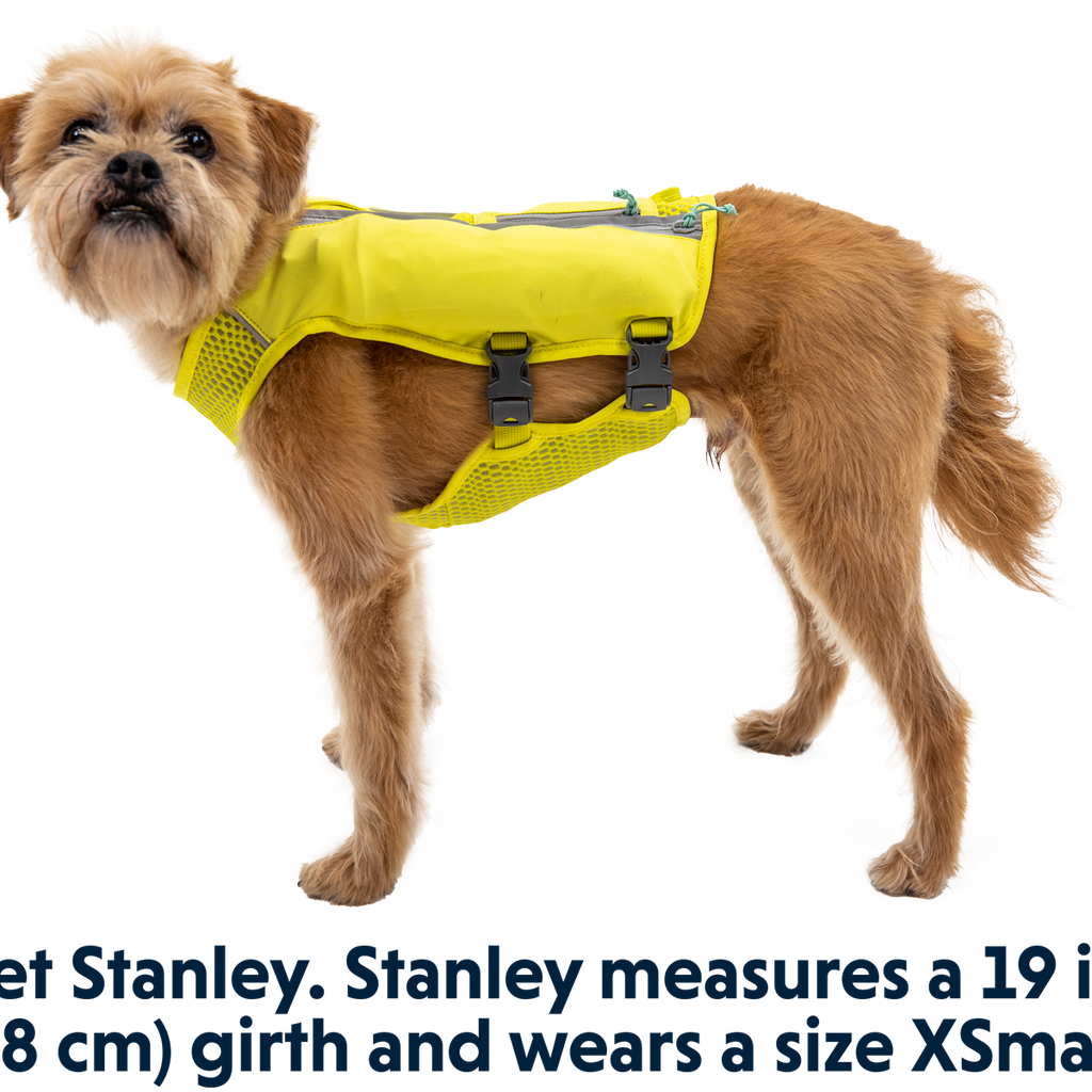 Trail Runner™ Dog Running Vest | Ruffwear UK